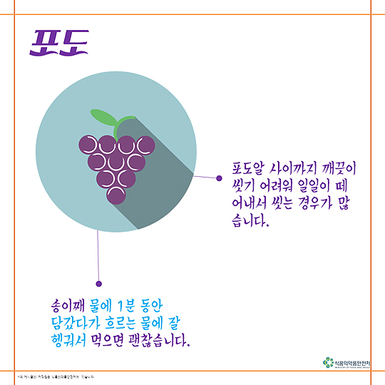 “씻기만 잘해도 잔류농약 걱정 NO!” - 과일편 - 전체 | 카드/한컷 | 멀티미디어 | 대한민국 정책브리핑